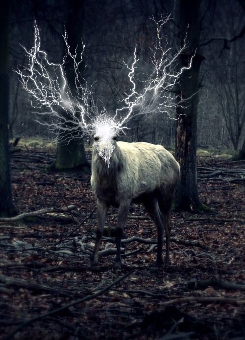 Is this a lightning strike or a really weird rub? > General Discussion ...